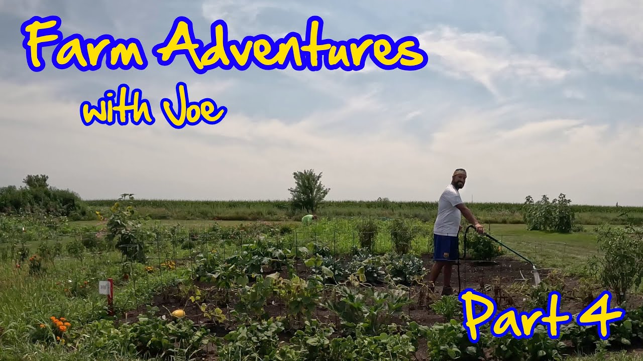 Farm Adventures - Part 4 - YouTube