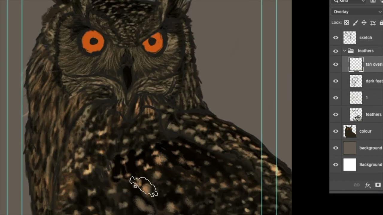 Indian Eagle Owl time - lapse - YouTube