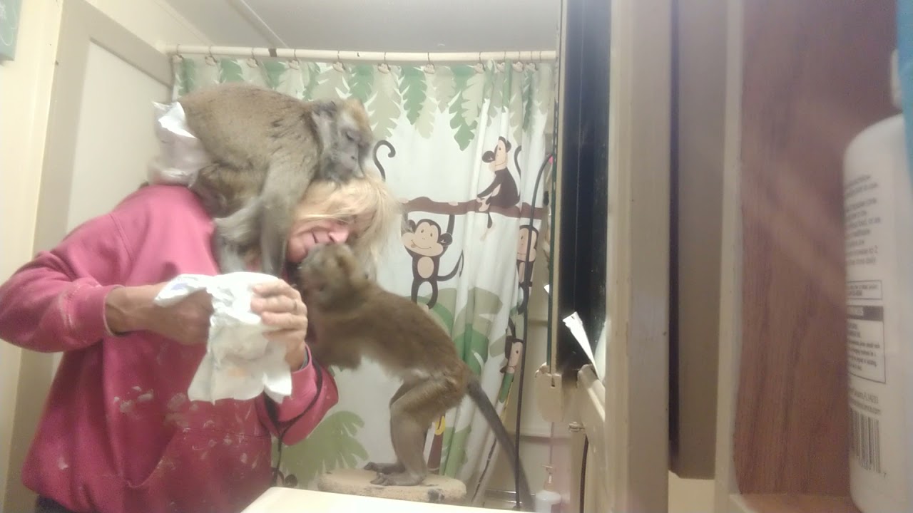 I Think My Hairy Daughter Has ADHD YouTube i-think-my-hairy-daughter-has-adhd-youtube