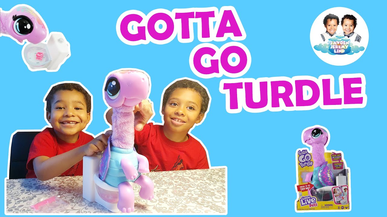 Go Gotta Go Turdle || Little Live Pet Gotta Go - YouTube