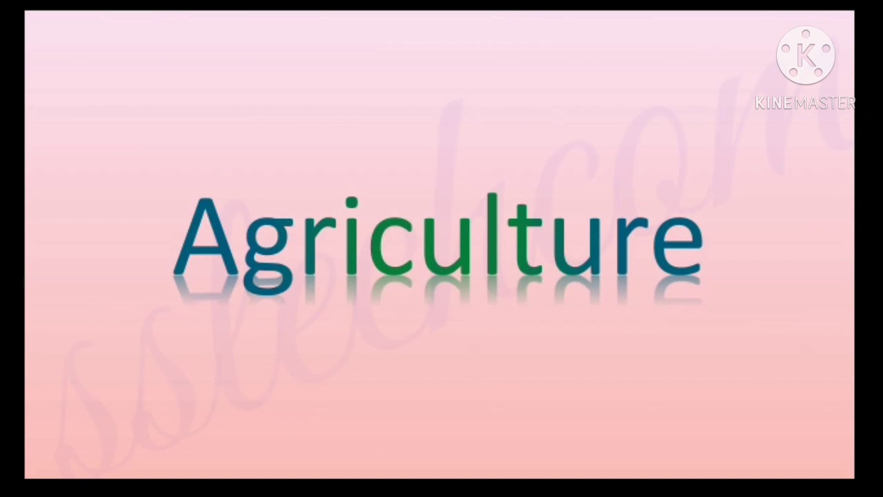 Agriculture / agriculture ppt / what is agriculture / different type of ...