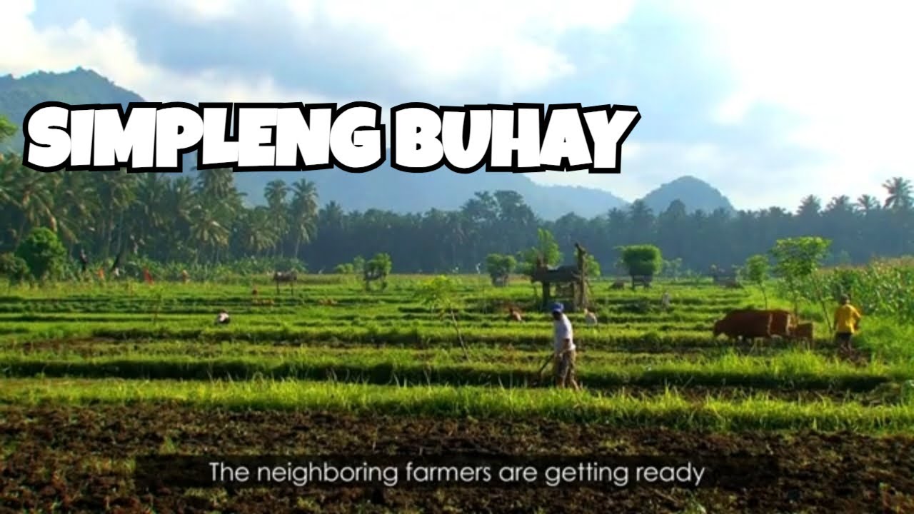 Captivating Moments: A Glimpse into Life in the Philippine Countryside ...