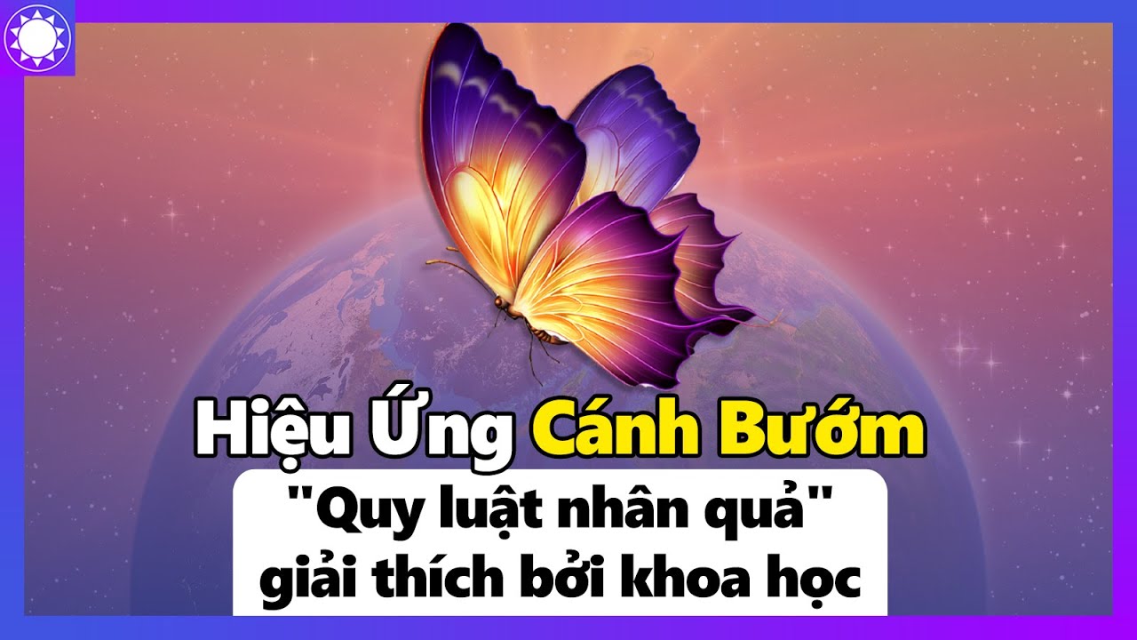 Hiệu Ứng Cánh Bướm - "Quy Luật Nhân Quả" Được Giải Thích Bởi Khoa Học ...