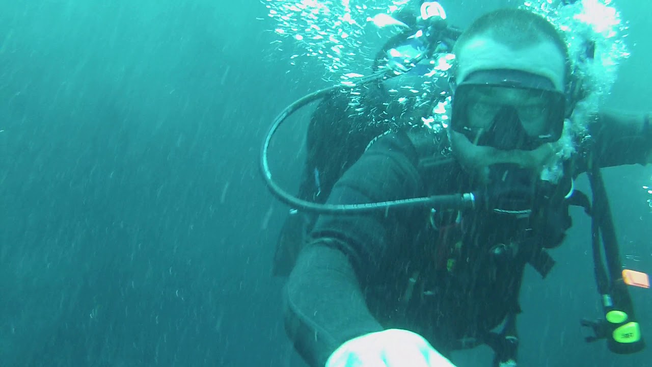 Fun time Diving at Vortex Spring - YouTube