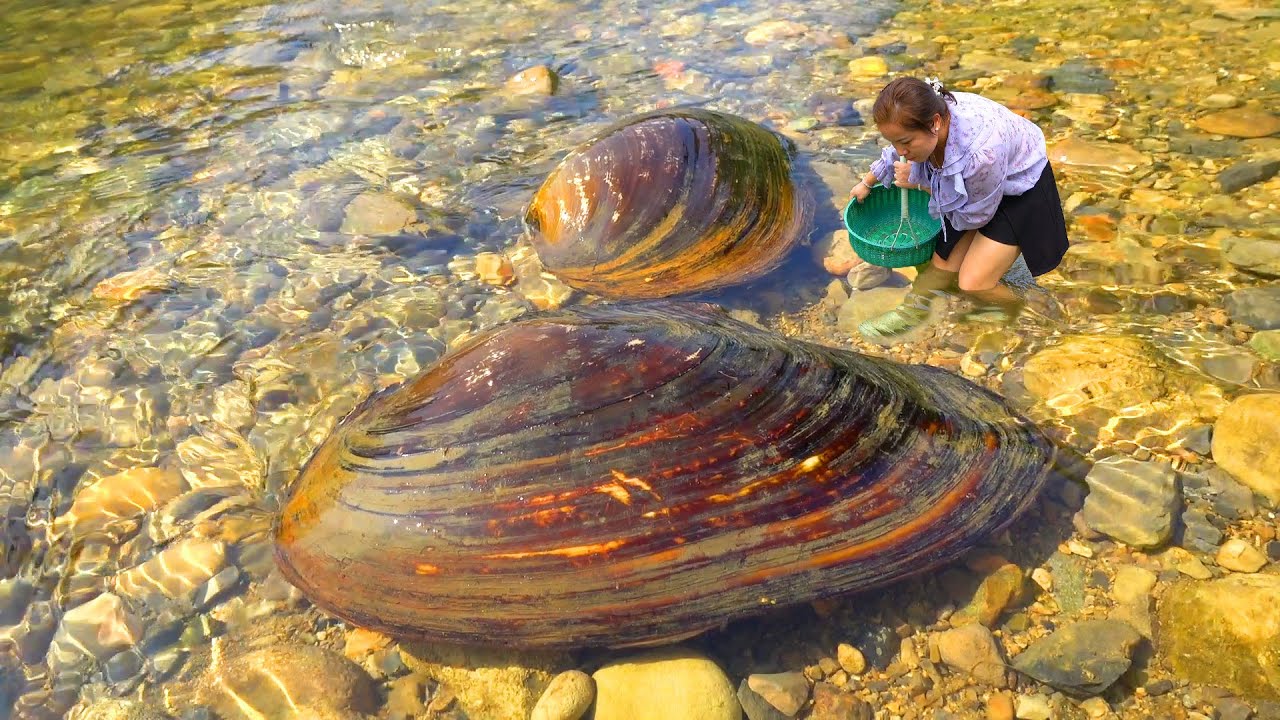 It's too shocking. After opening a few big clams, there are hundreds of ...