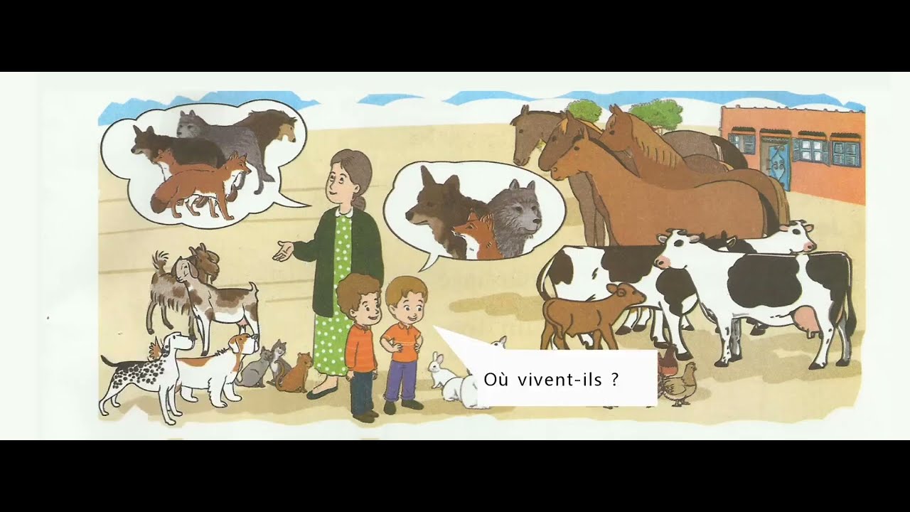 activité orale : informer s'informer sur les animaux . mes amis les ...