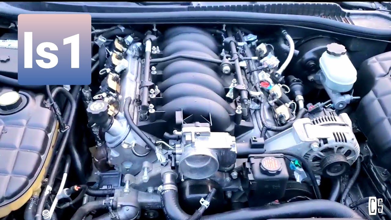 C5 Corvette// Intake manifold Installation//Torque specs// - YouTube