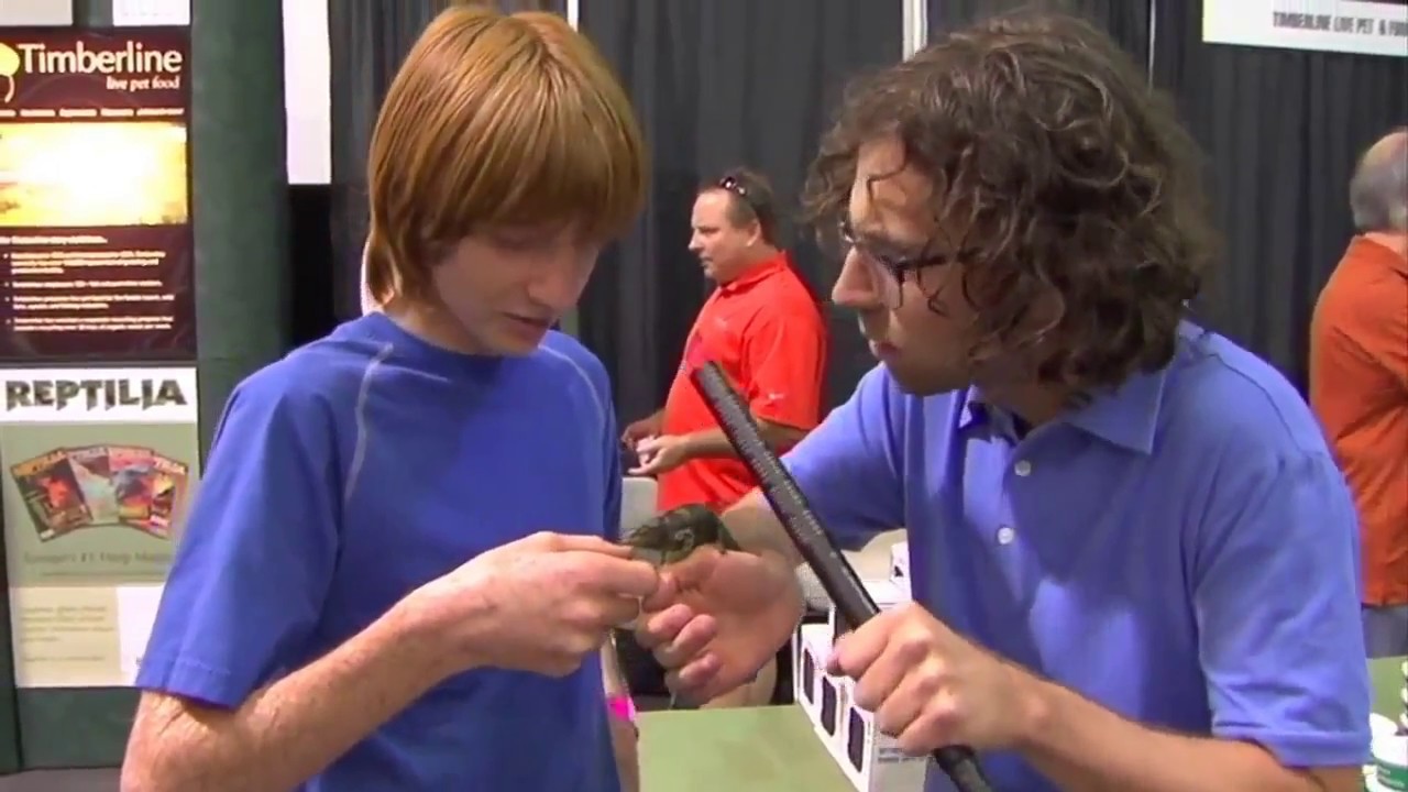 kyle - greatest hits - YouTube