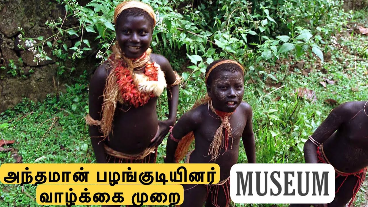 அந்தமான் பழங்குடியினர் பற்றி அறியாத விஷயம் / Jarawa tribal people ...