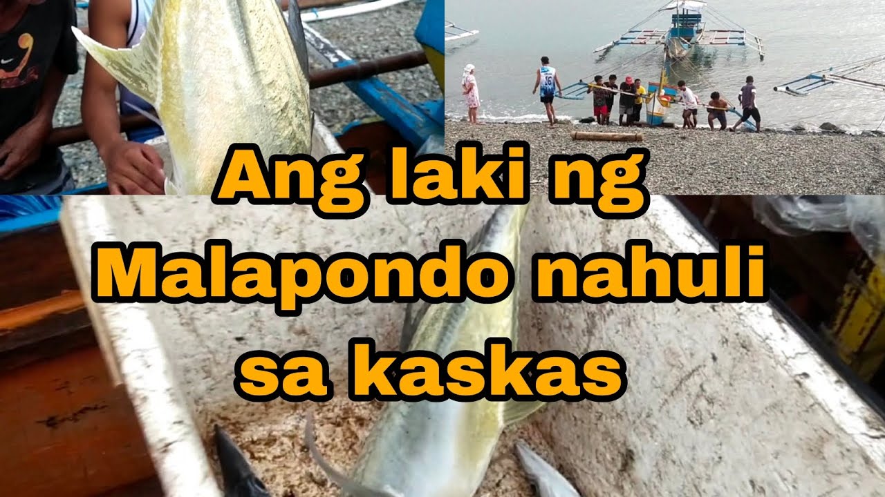 malaking Malapondo huli sa kaskas #fishing #fishinglife - YouTube
