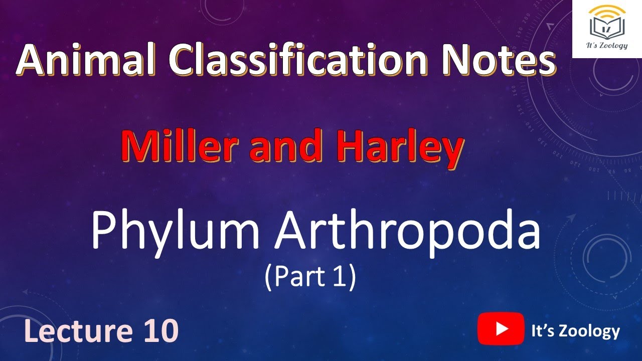 Phylum Arthropoda | Part 1 | Animal Classification notes | Lecture 10 ...