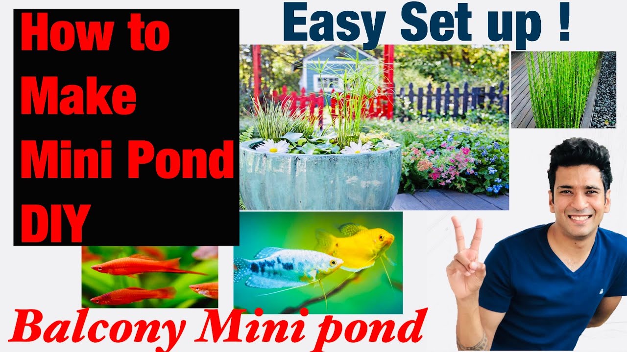 How to make mini pond | Balcony Mini pond DIY| Cheap set up at home ...