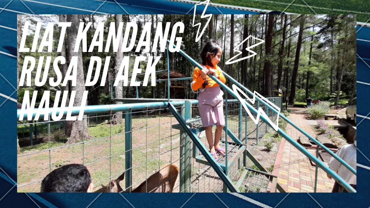JALAN JALAN KE AEK NAULI ELEPHANT ANIMAL CONSERVATION #PLAYWITHAZZALEA ...