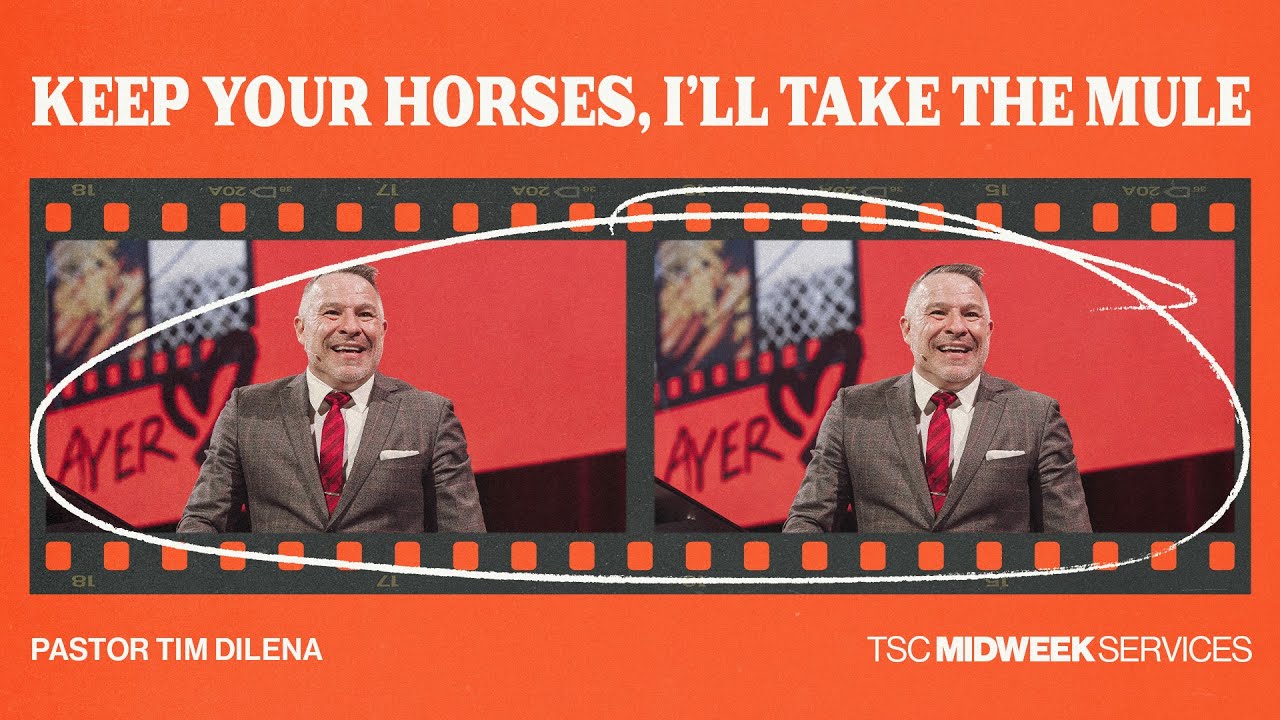 Keep Your Horses, I'll Take The Mule | Tim Dilena - - Bible Portal