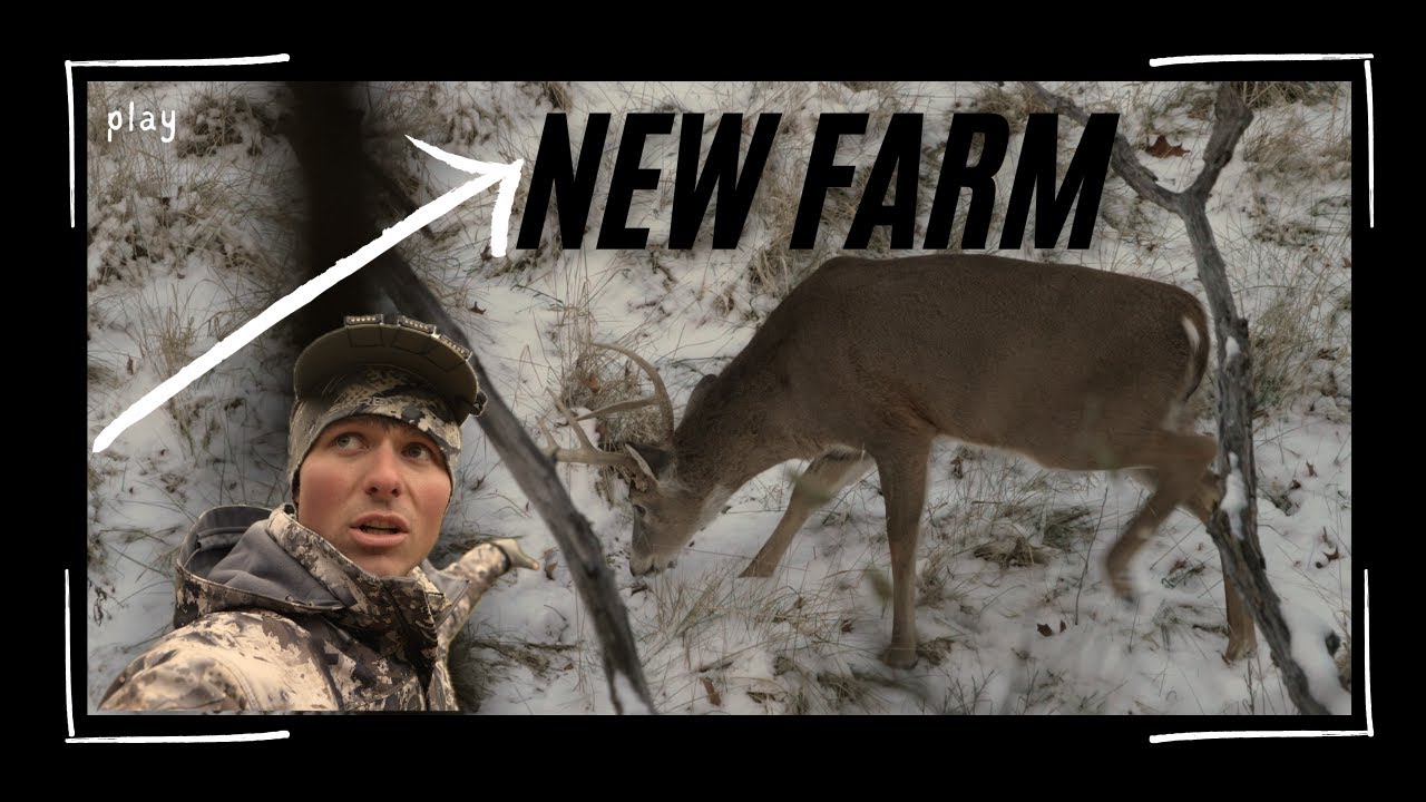 Bow Hunting New Permission Farm! - YouTube