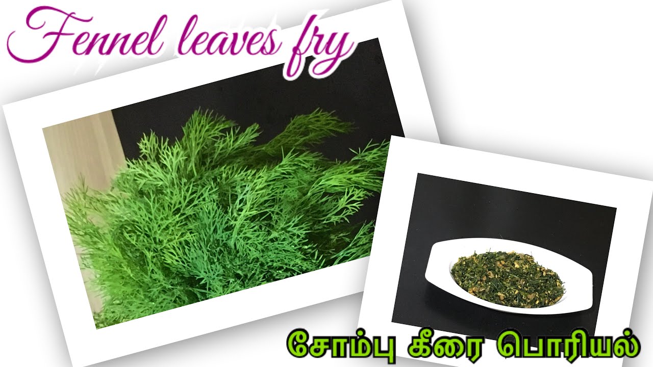 Fennel leaves fry/சோம்பு கீரை பொரியல்/sompu keerai poriyal/dill leaves ...