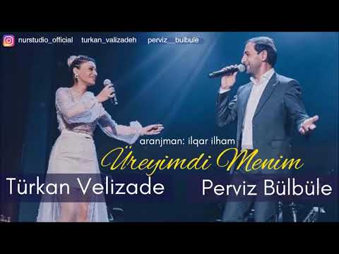 Turkan velizade perviz bulbule