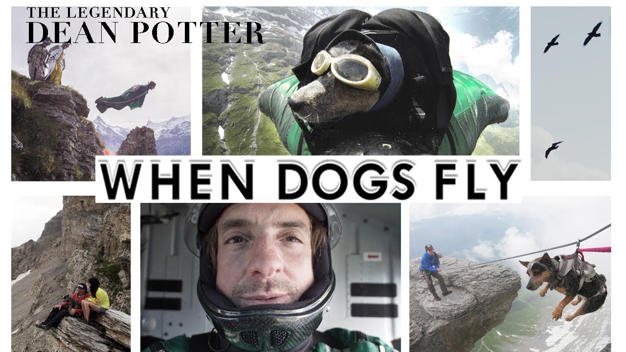 When Dogs Fly | Trailer | Dean Potter - YouTube
