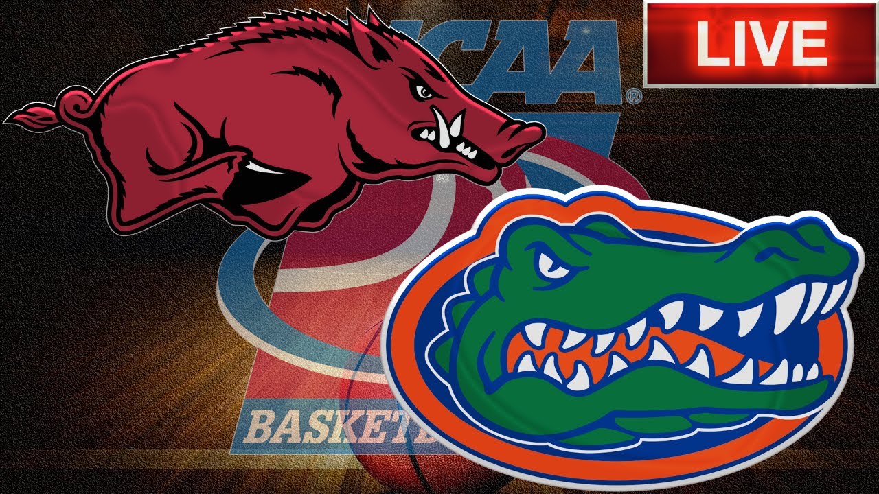 Arkansas Razorbacks vs Florida Gators LIVE Stream | NCAA Basketball ...