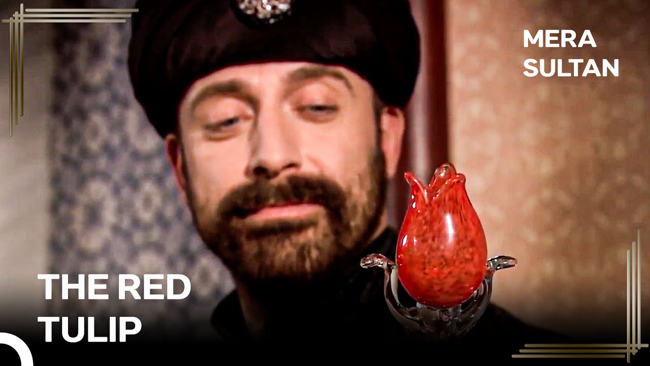Suleiman Receives Gifts From the Venice Palace | Mera Sultan Episode 8 ...