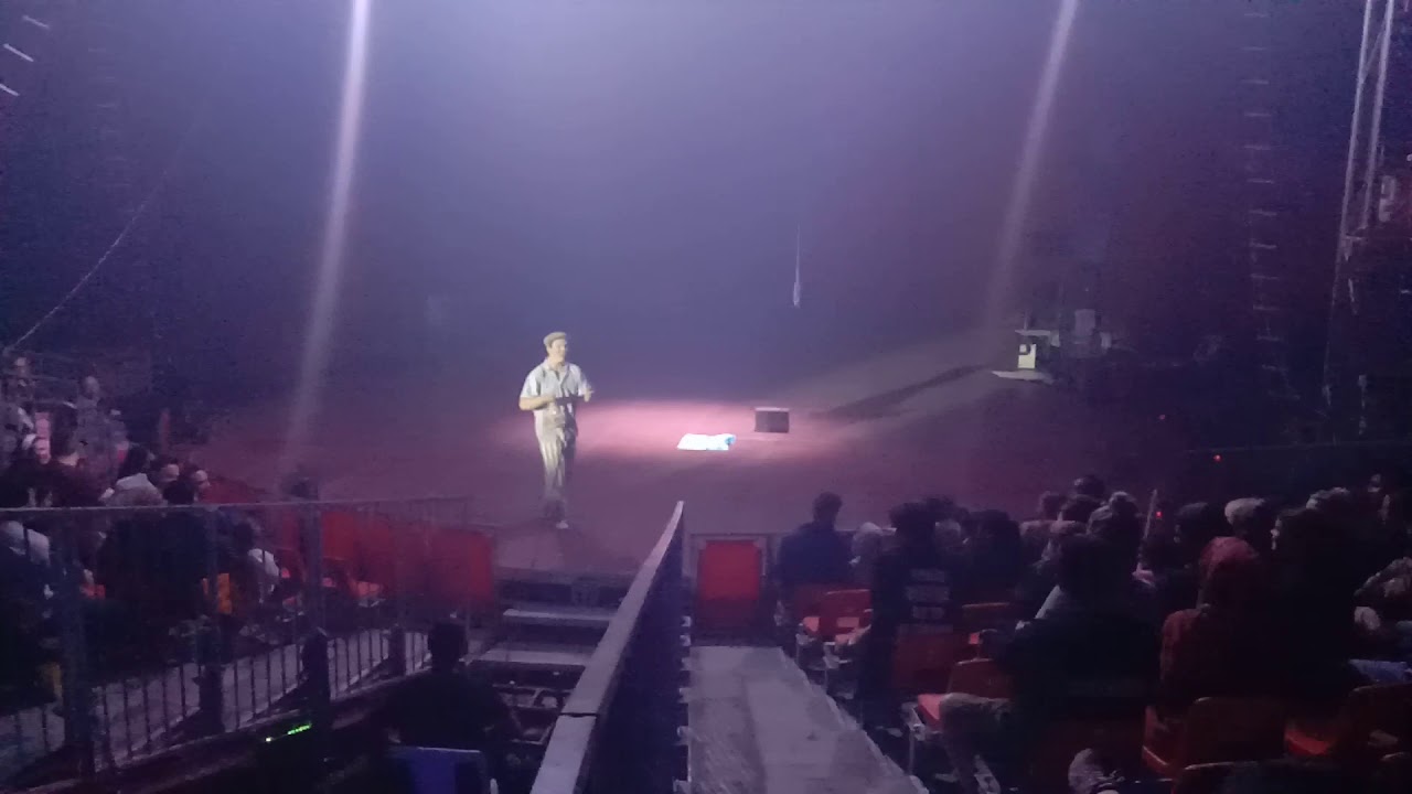 Clown Duck Act - Ian Richardson Circus Rio October 2019 - YouTube