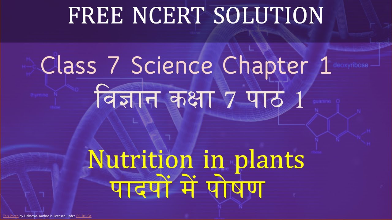 NCERT Class 7 Science Chapter 1 In Hindi Nutrition Of Plants ncert-class-7-science-chapter-1-in-hindi-nutrition-of-plants