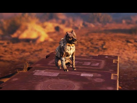 NEW CLOWN CLASS(K9 UNIT)SEASON4 CODM - YouTube