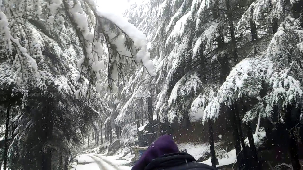 Manali Snowfall - YouTube
