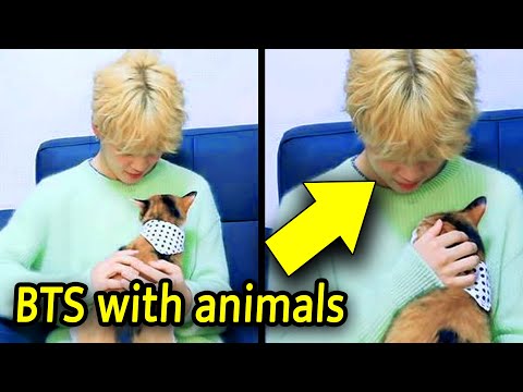 BTS WITH ANIMALS!