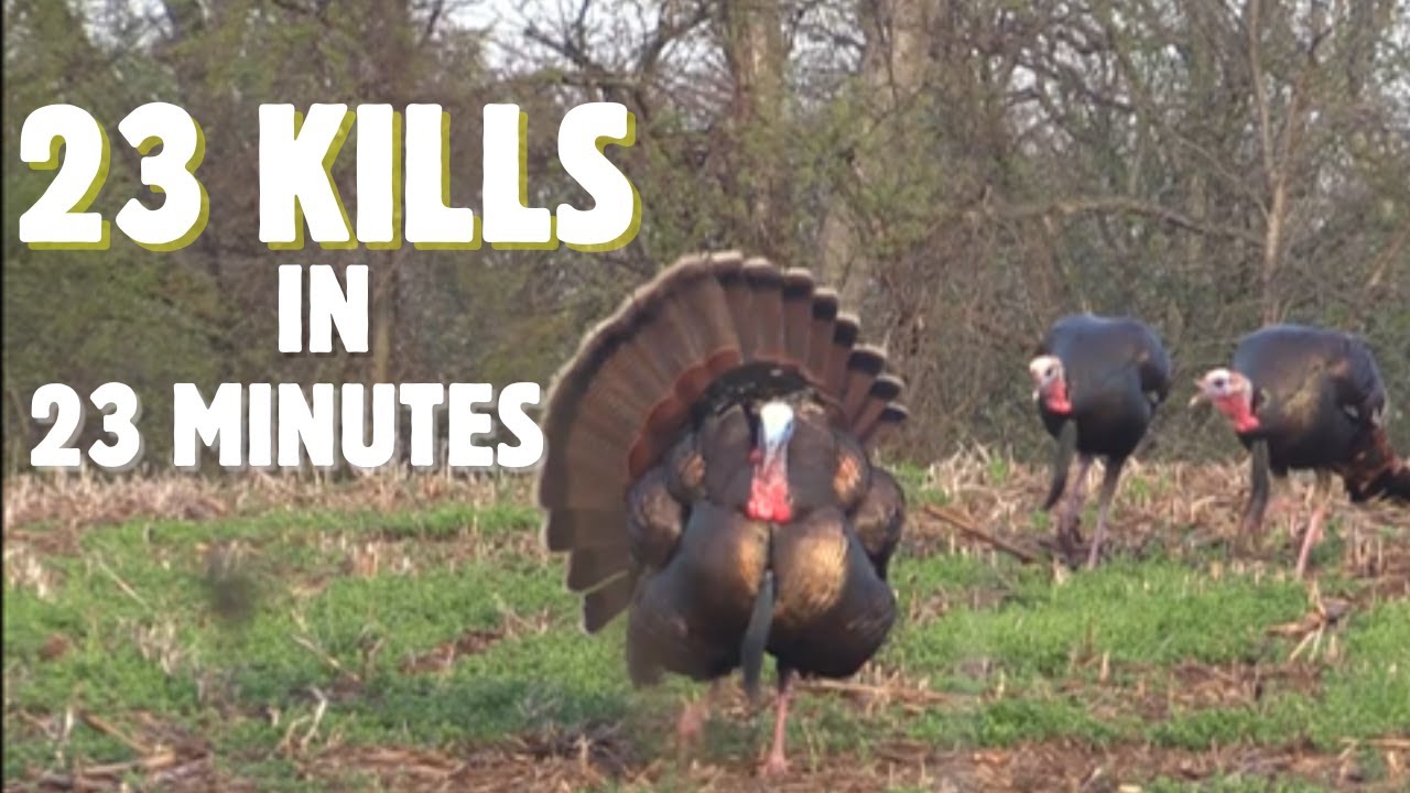 23 KILLS in 23 MINUTES! Epic Turkey Highlights - YouTube