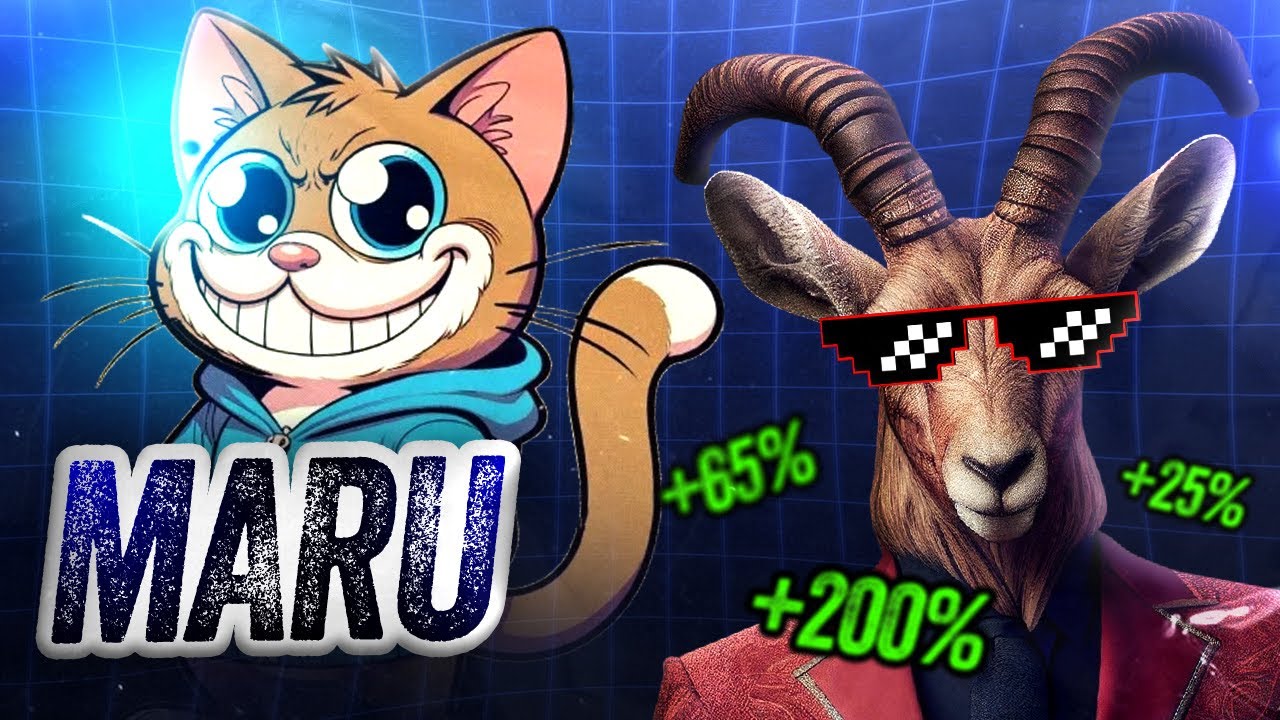 THE PURR-FECT MEME TEAM! 🔥 Maru 🔥 LATEST VIRAL VENTURE! - YouTube