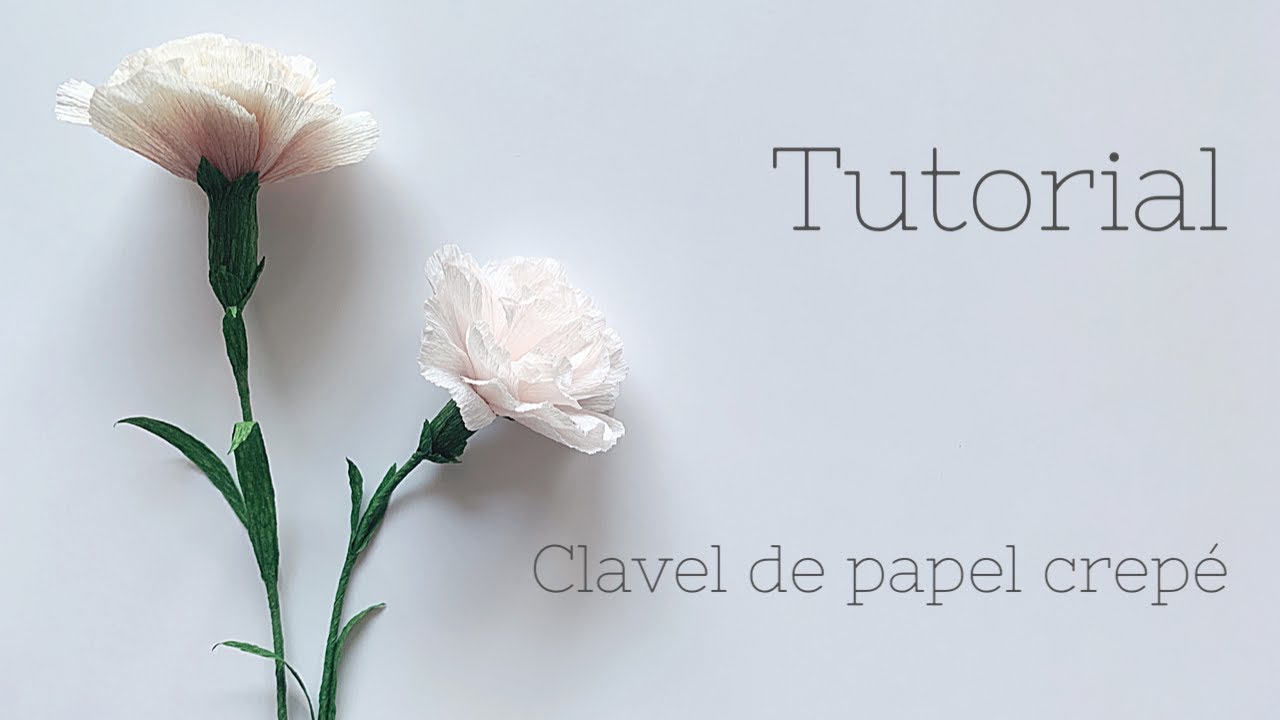 CLAVEL de PAPEL crepé PASO A PASO (PLANTILLAS INCLUIDAS) - YouTube