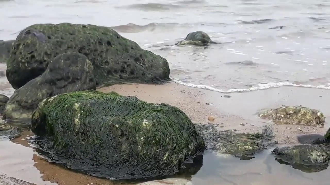 Trow Rock: South Shields - YouTube