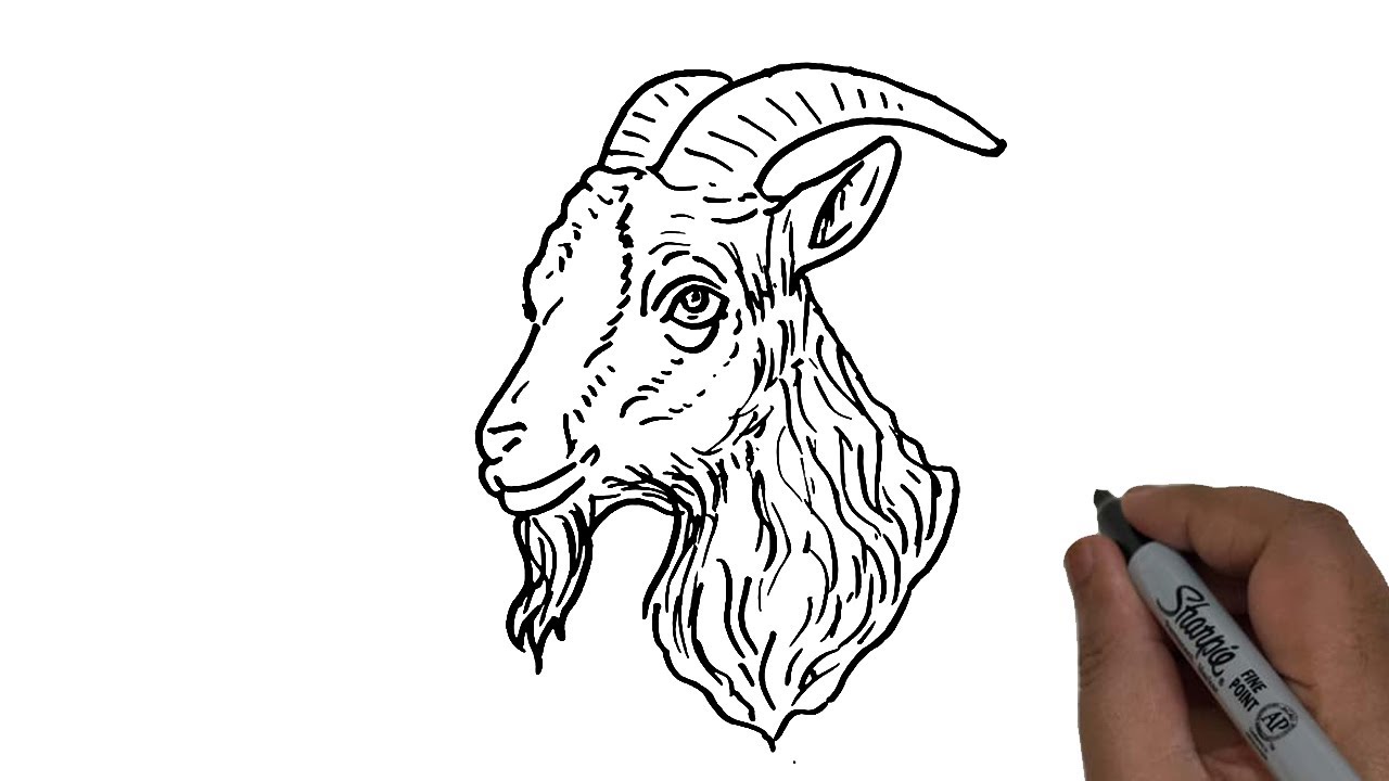 How to Draw a Goat Face Easy. - YouTube