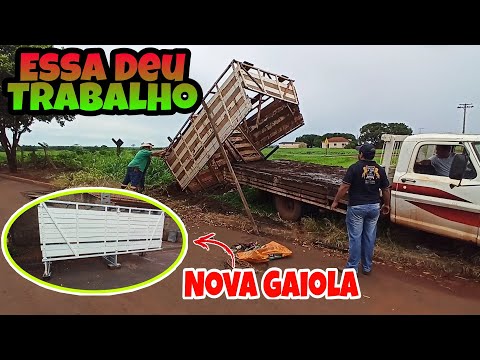 Nova Gaiola Boiadeiro / Muito Trabalho Para Retirar a Gaiola Antiga