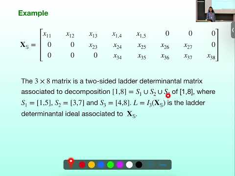 Blowup algebras of ladder determinantal modules - YouTube
