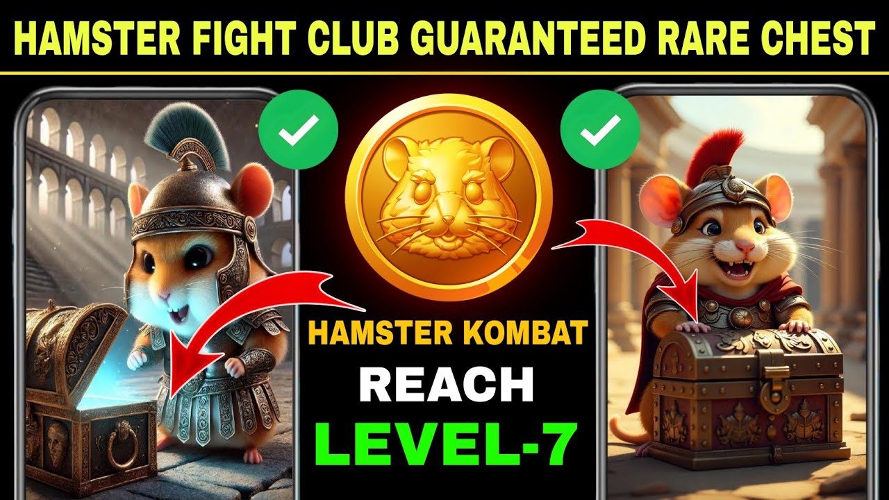 HAMSTER🐹 KOMBAT SEASON 2 NEW UPDATE | HAMSTER FIGHT CLUB GUARANTEED ...