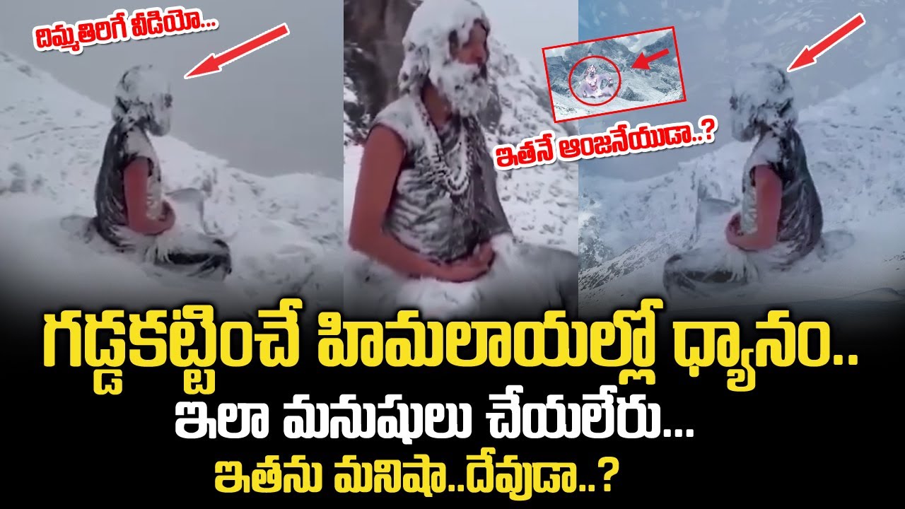 Real Hanuman caught on camera in Kashmir.. ? ఇతనే నిజమైన హనుమంతుడా ...