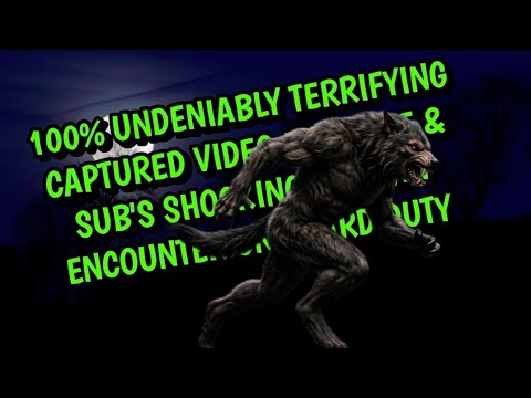 ##DOGMAN, 100% UNDENIABLY TERRIFYING CAPTURED VIDEO EVIDENCE & A GUARD'S SHOCKING DOGMAN ENCOUNTER