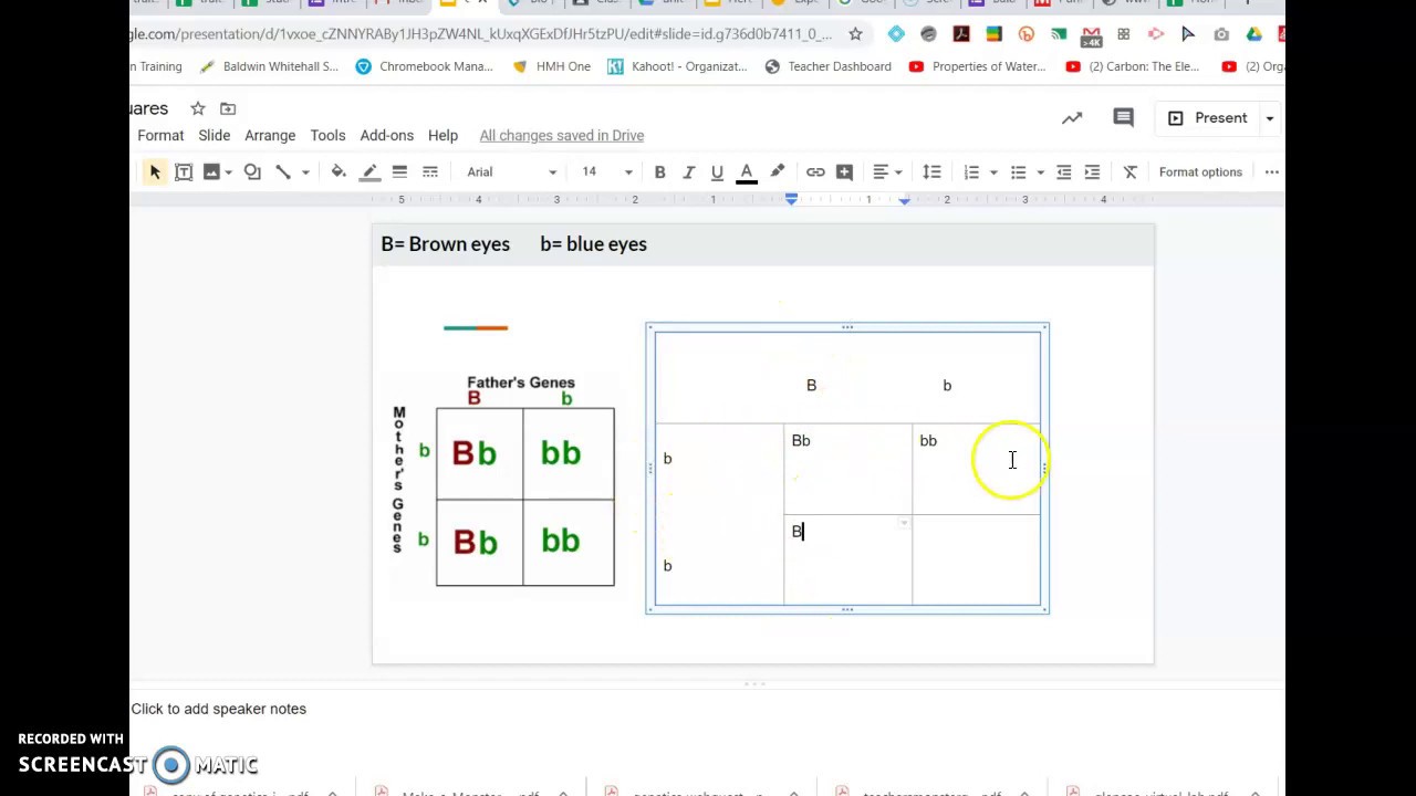 punnett square set up - YouTube