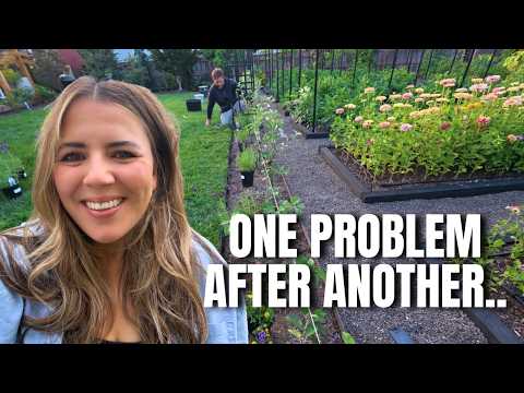 We Thought This Garden Project Would be Easy... We Were Wrong