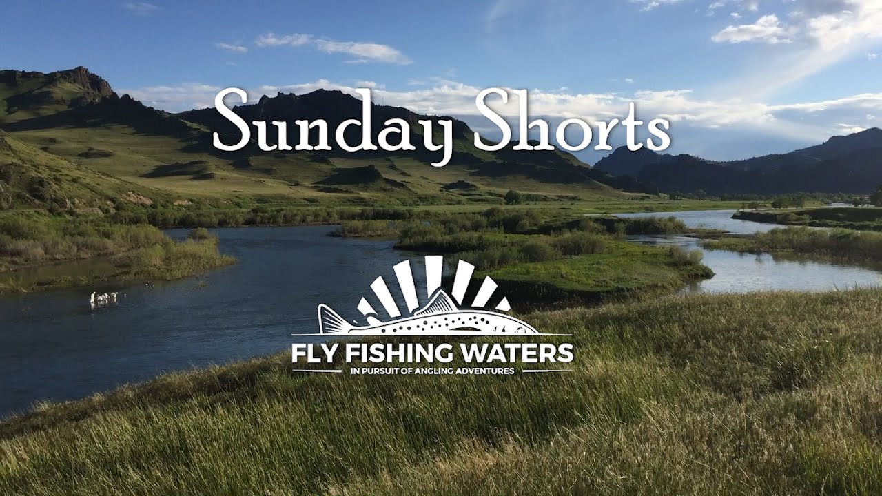 Pelican Point on the Missouri River Near Cascade, MT - Sunday Short ...