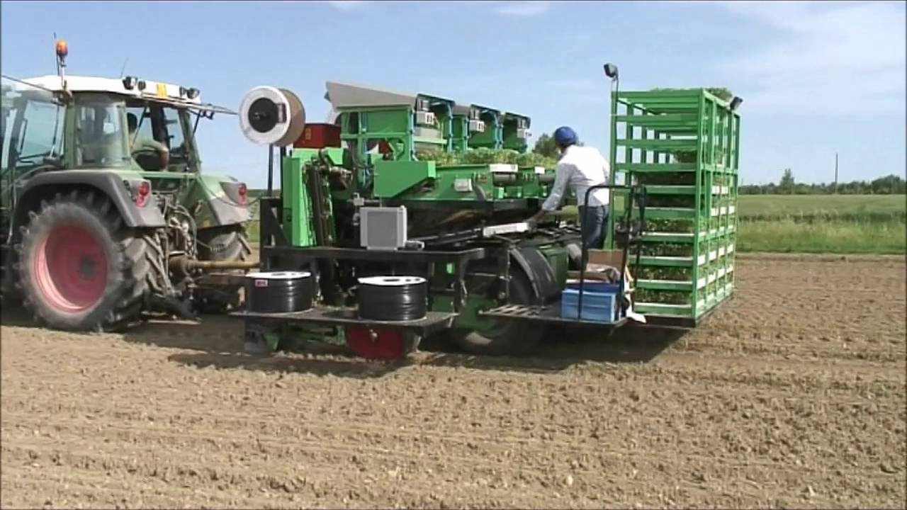 Agriplanter automatic transplanter - 3SP - tomatoes - YouTube