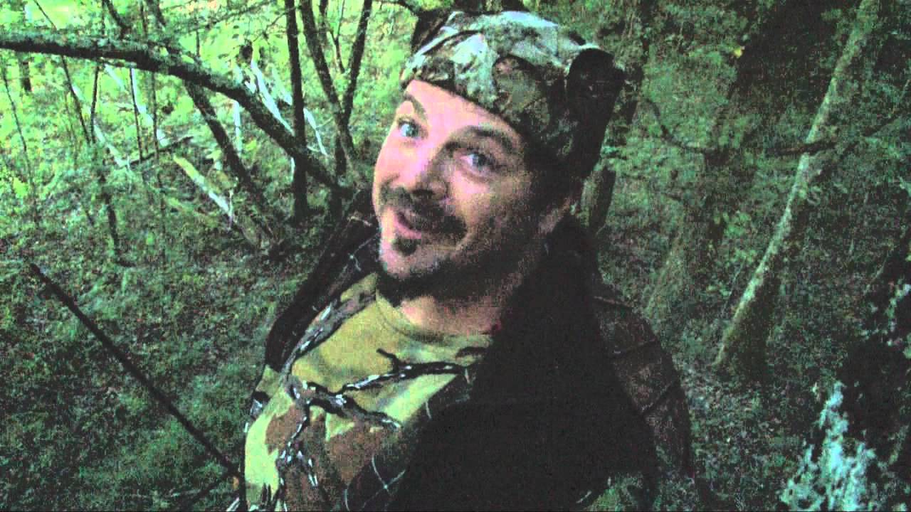 Tir à l'arc d'un renard - YouTube