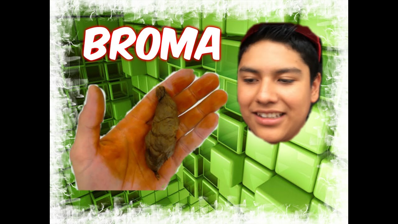 BROMA CON CACA FALSA-ZONA PANDA - YouTube