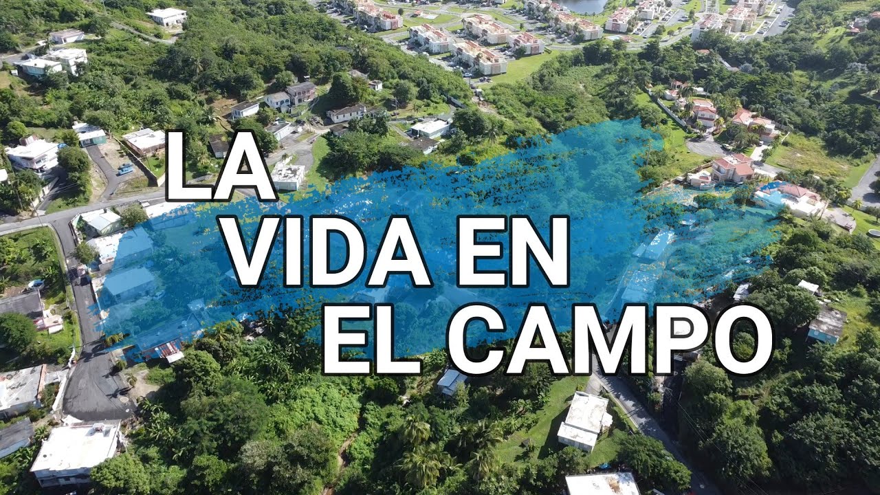 Asi Es La Vida En El Campo En Puerto Rico - YouTube