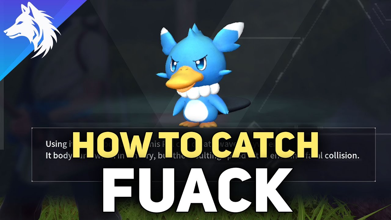 Where To Catch Fuack (Location, Stats & Habitat) Palworld - YouTube