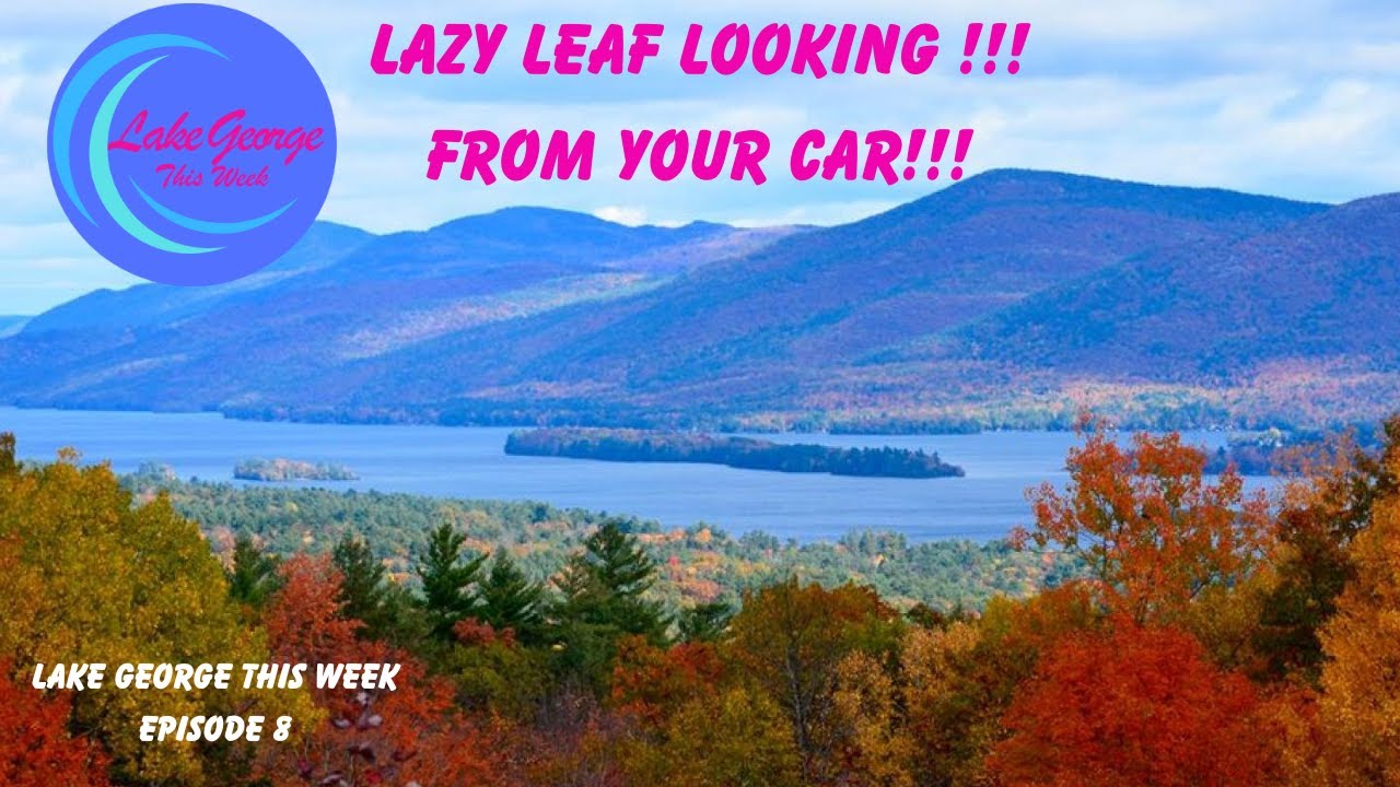 I'm a Lazy Leaf Expert and I Found Out THIS! - YouTube