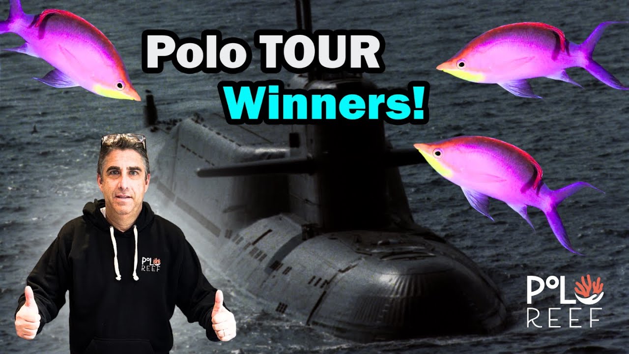 They WON a trip to visit Polo Reef's 17,000 gallon reef aquarium! - YouTube