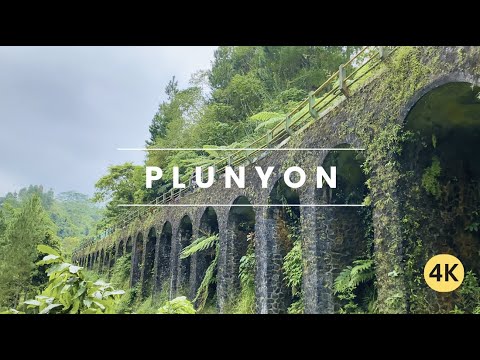 Walking around Plunyon Bridge | Meniti jembatan Plunyon, lokasi syuting ...